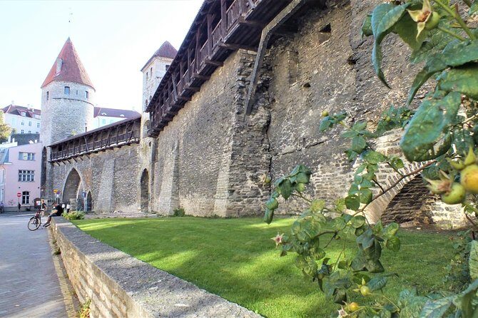 Private 2.5-Hour Tour of Tallinn Old Town in a Spacious Mercedes Minivan - Why This Tour Stands Out