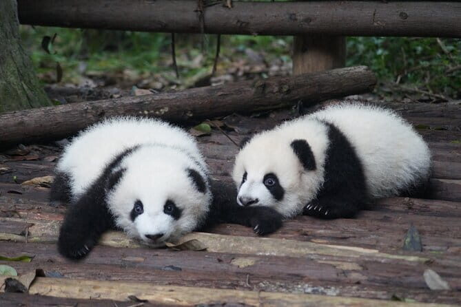 Private 2-Day Chengdu Discovery with Hotel Accommodation - Day 2: Imposing Monuments and Old Towns
