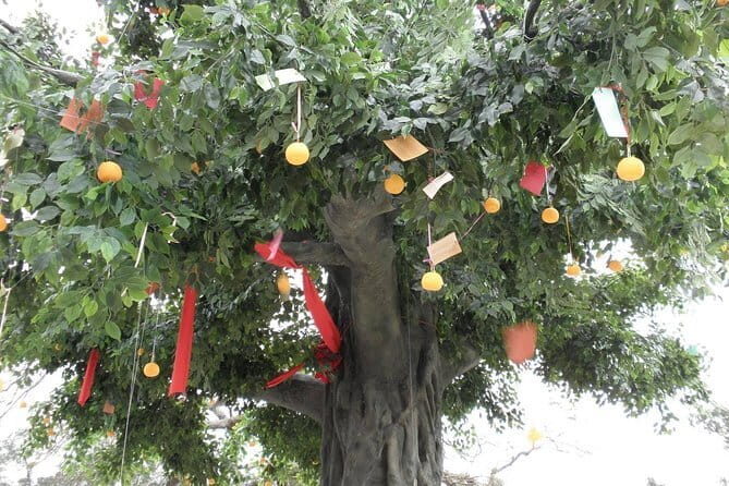 Private 2 Day Classic Hong Kong Day Tour Including Xinjie And Chi Lin Nunnery - An In-Depth Breakdown of the Tour