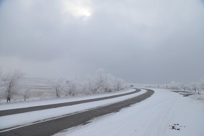 Private 2 Day Kaindy Kolsai Lake Charyn Canyon Private SUV Tour - Introduction to the Experience