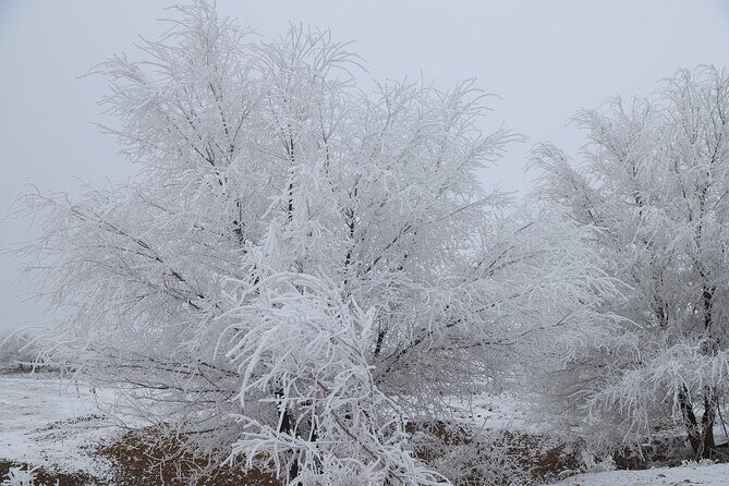 Private 2 Day Kaindy Kolsai Lake Charyn Canyon Private SUV Tour - Who Will Love This Tour?