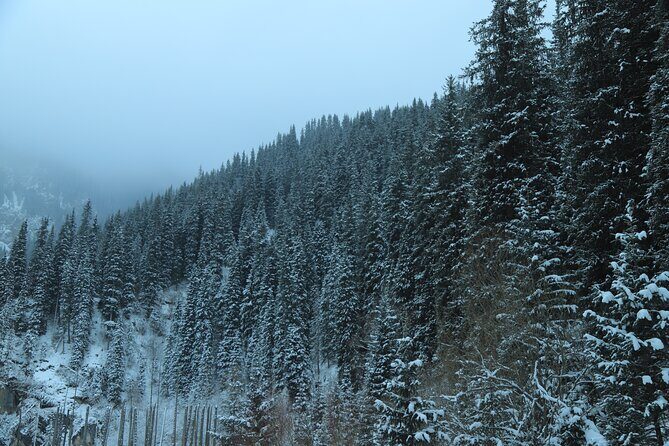 Private 2 Day Kaindy Kolsai Lake Charyn Canyon Private SUV Tour - The Sum Up