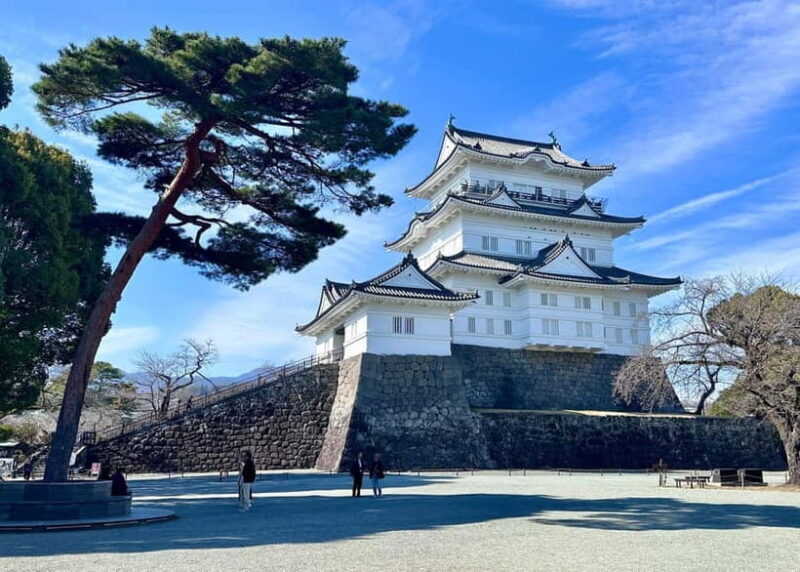 Private 2-Day Tour: Mt Fuji Hakone & Kamakura + Onsen Ryokan - Key Points