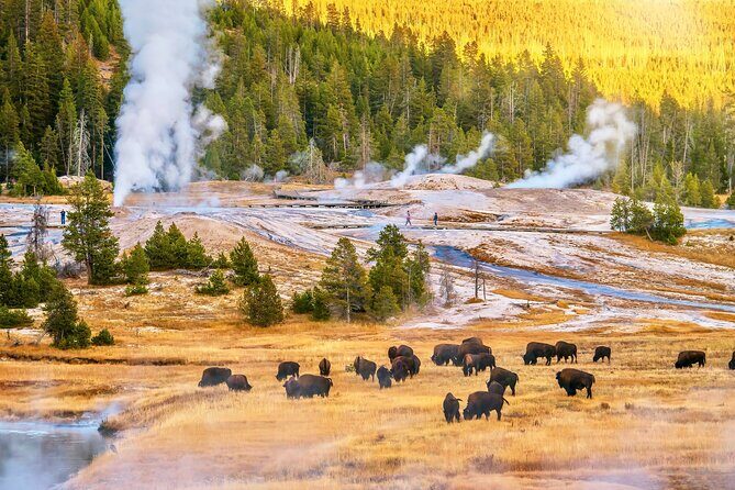 Private 2-Day Yellowstone Tour - Upper and Lower Loop - Additional Resources