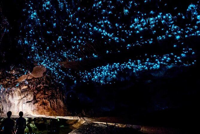 Private 2 Days Tour from Auckland - Waitomo, Hobbiton and Rotorua - What Past Travelers Say