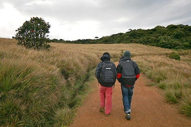 Private 2 Days Trip to Misty Mountains Tour - An In-Depth Look at the Tour