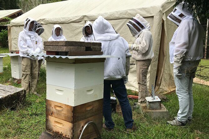 Private 2-Hour Beekeeping Classroom Tour in Honokaa - An In-Depth Look at the Beekeeping Experience