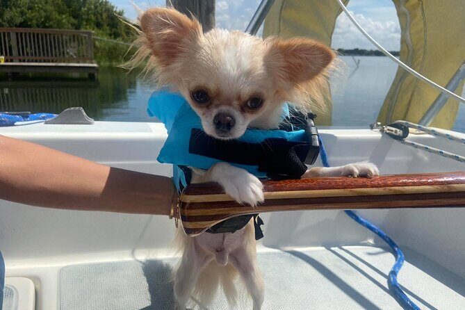 Private 2-Hour Day Sailing Experience - Itinerary Breakdown: What to Expect