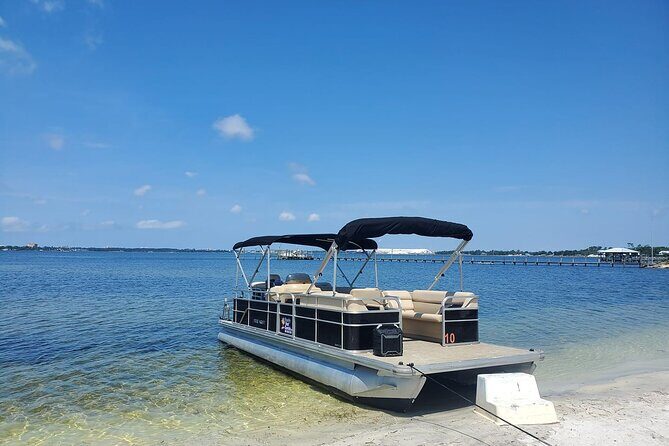 Private 2-Hour Dolphin and Sightseeing Tour - Scenic and Educational Experience in Panama City Beach