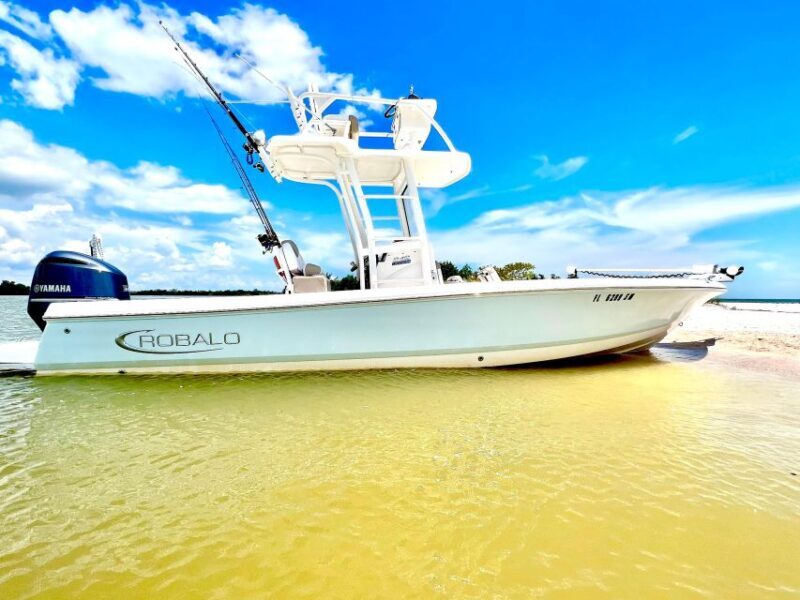 Private 2 Hour Dolphin & Eco Tour Marco Island, FL - An Unvarnished Look at the Experience