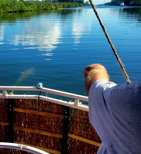 Private 2 hour Dolphin Sightseeing tour- Melbourne - Key Points