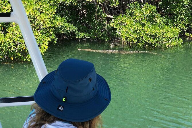 Private 2 hour Mangrove Ecotour - The Experience Provider: KeyZ Charters