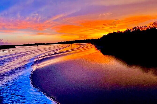 Private 2 Hour Sunset Cruise Marco Island, FL - Wildlife Sightings