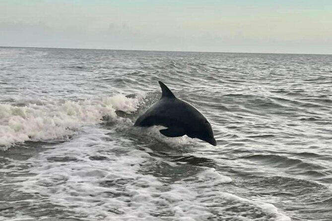Private 2 Hour Sunset Cruise Marco Island, FL - Cost and Value