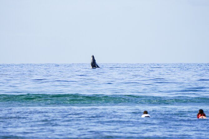 Private 2 hour Surf Lessons with Experienced Coaches - What to Expect from Maui Surfer Girls’ Private Surf Lessons