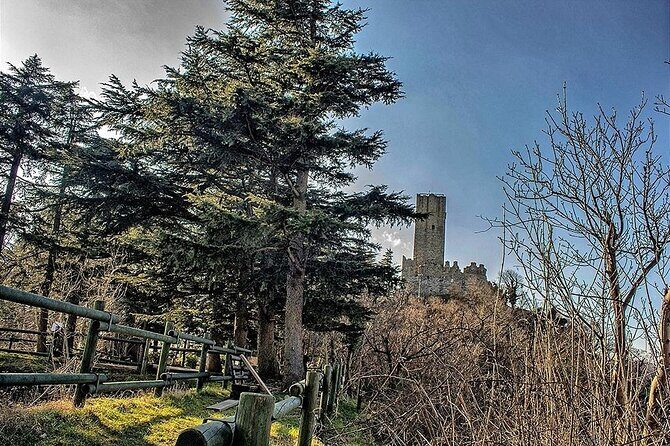 Private 2-Hour Tour of the Medieval Castle over Lake Como - A Closer Look at the Tour Itinerary