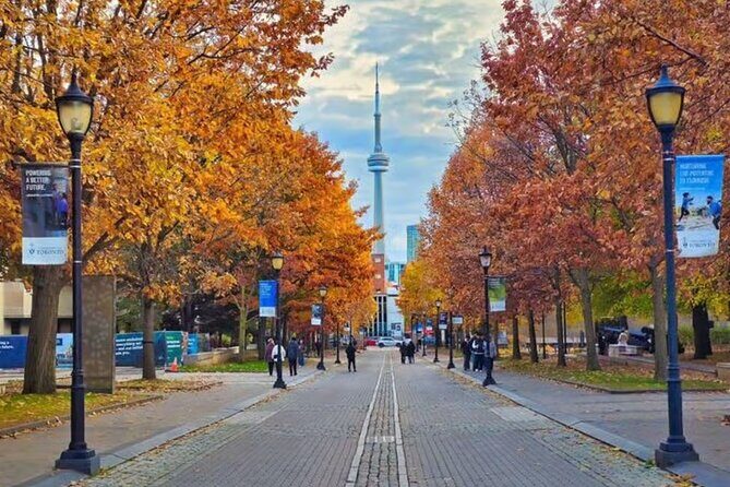 Private 2 Hours Photoshoot with a Pro Photographer in Toronto - A Closer Look at the Experience