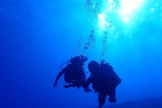 Private 2 Tank Dive at Molokini Crater Certified Divers Only - Is This Tour Worth the Price?