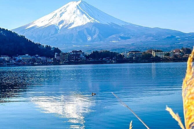 Private 21-days Japan Holiday from Tokyo - Key Points