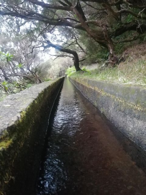 Private - 25 Fontes and Risco Waterfall Guided Tour - The Itinerary in Detail