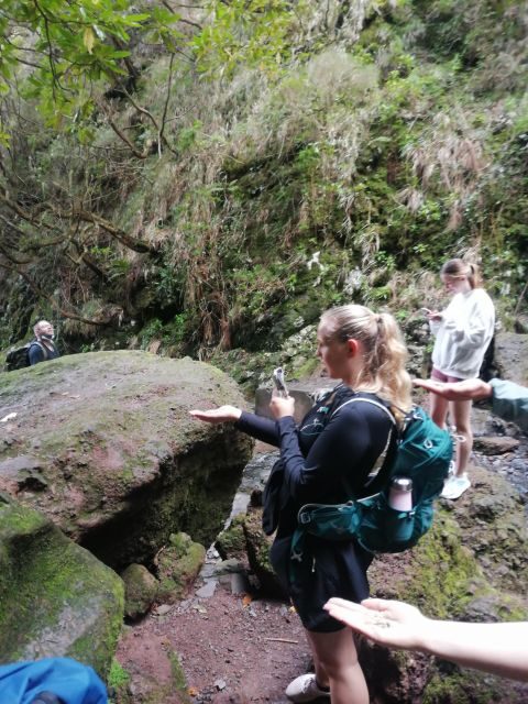 Private - 25 Fontes and Risco Waterfall Guided Tour - Authenticity and Feedback from Travelers