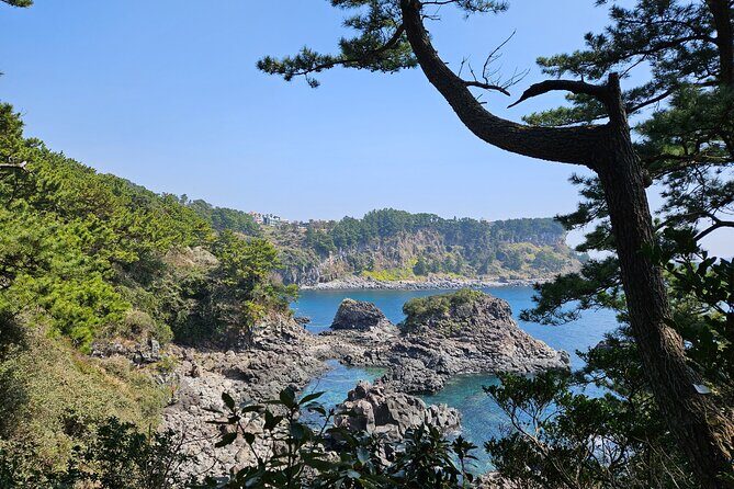 Private 2Days Tour a lot of Experience Driver in jeju island - Who Will Love This Tour?