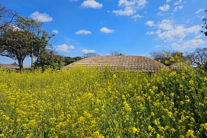 Private 2Days Tour a lot of Experience Driver in jeju island - FAQ