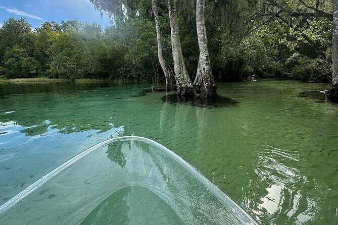 Private 2Hour Clear Kayak/ROC Paddle Board Rental on Silver River - The Practicalities