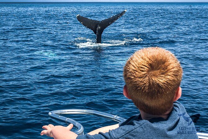 Private 2hr Supreme Whale/Dolphin Watching Tour, Newport Beach CA - Who Will Enjoy This Tour?