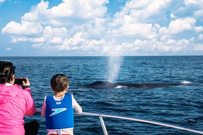Private 2hr Supreme Whale/Dolphin Watching Tour, Newport Beach CA - FAQs