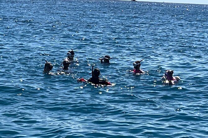 Private 3.5 hr Snorkel Charter in Waikiki - The Itinerary: What You Can Expect