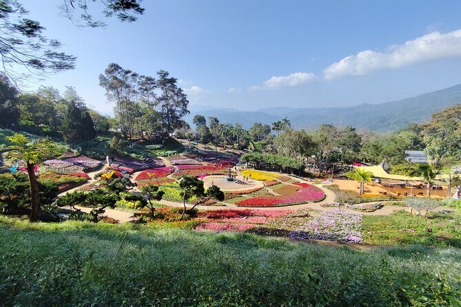 Private 3 Day Chiang Mai and Chiang Rai Tour - Final Thoughts: Who Is This Tour For?