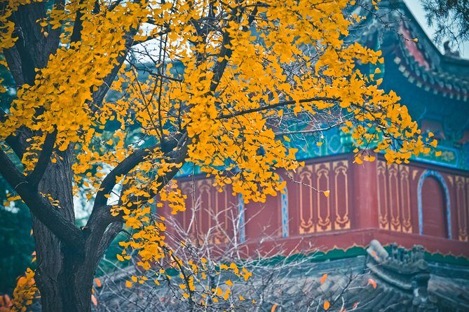 Private 3-Day Tour Featuring Shaolin Temple and other Must-See Spots in Henan - The Sum Up