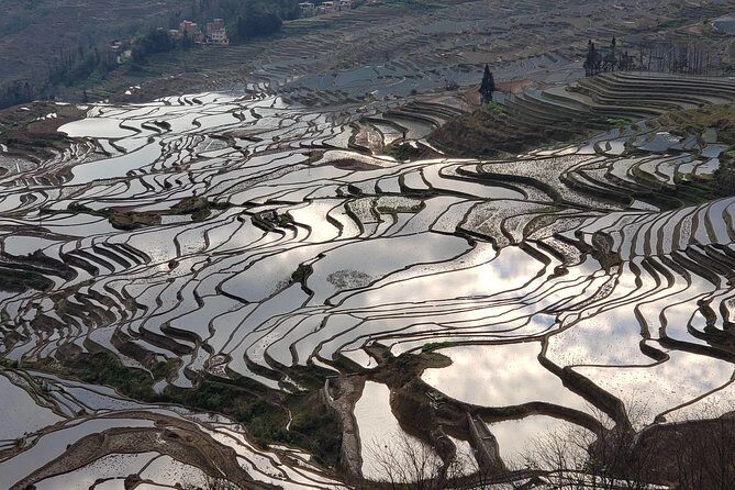 Private 3-Day Tour to Jianshui Old Town and Yuanyang Rice Terraces from Kunming - Deep Dive into the Itinerary: What to Expect
