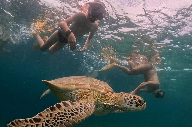 Private 3 Gili Trip - Itinerary Breakdown