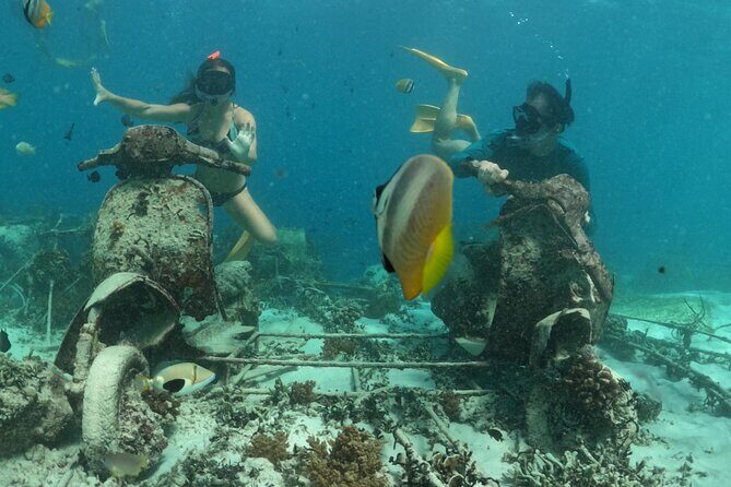 Private 3 Gili Trip - What to Expect During the Snorkeling