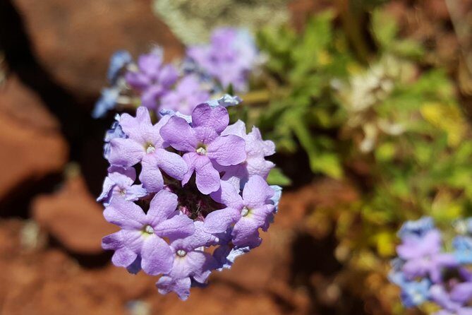 Private 3-Hour Sedona Metaphysical Photography Tour - Key Points