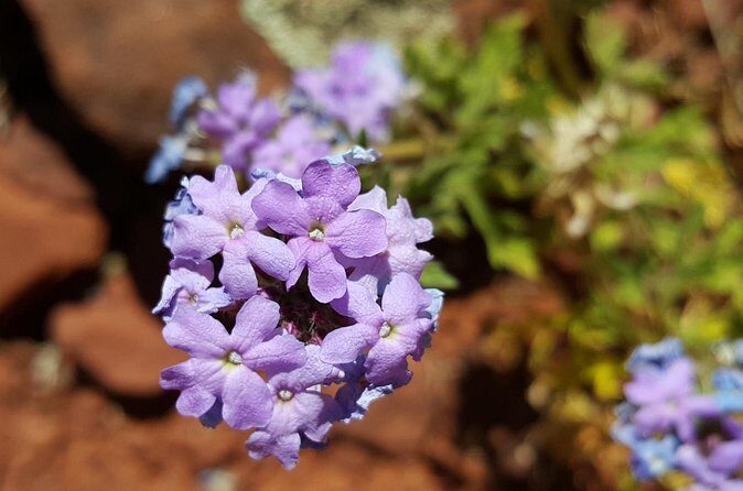 Private 3-Hour Sedona Metaphysical Photography Tour - The Experience in Practice: What Past Travelers Say