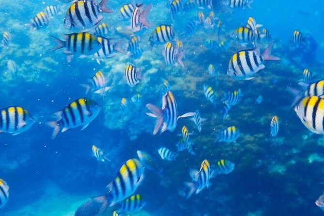 Private 3-Hour Snorkeling Tour with Arch Tour and Beach Time - A Closer Look at Whats Included and What’s Not