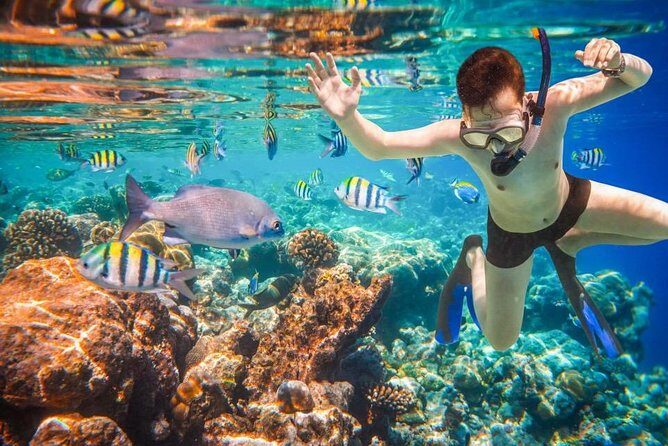 Private 3-Hour Snorkeling Tour with Arch Tour and Beach Time - FAQ
