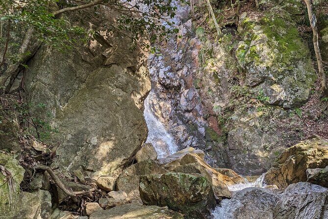 Private 3 Hours Waterfalls Sightseeing Tour - Practical Tips for Participants