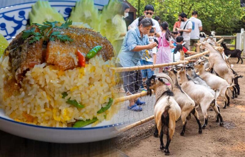 Private 3 IG Cafe + Don Wai Floating Market: from Bangkok - Price and Value