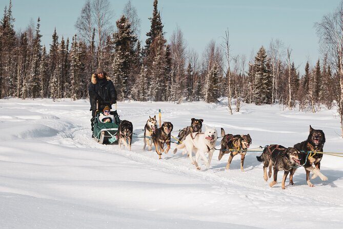 Private 30 Minute Mush Along Historic Yukon Quest Trail - Value and Pricing: Is It Worth It?