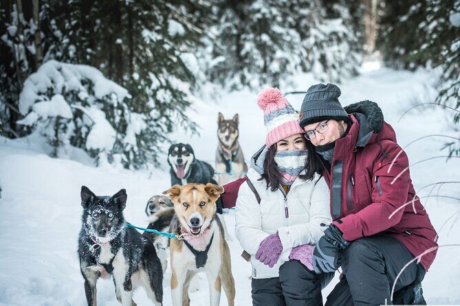 Private 30 Minute Mush Along Historic Yukon Quest Trail - The Sum Up: Is It Worth It?