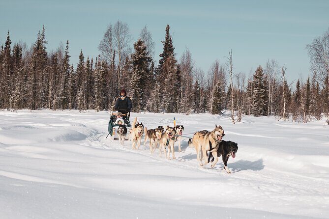 Private 30 Minute Mush Along Historic Yukon Quest Trail - FAQs