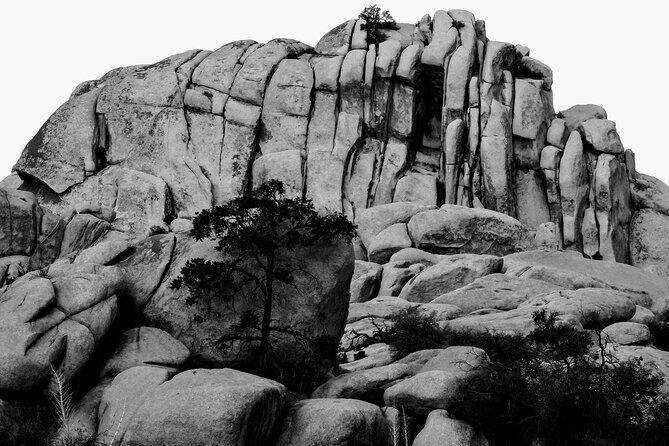 Private-36 Hour Adventure in Joshua Tree National Park - What Recent Travelers Say