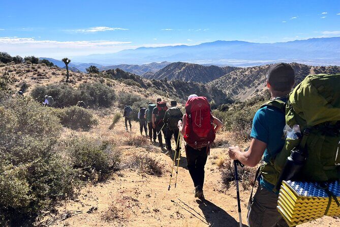 Private-36 Hour Adventure in Joshua Tree National Park - Exploring the Details: Why This Tour Is Special