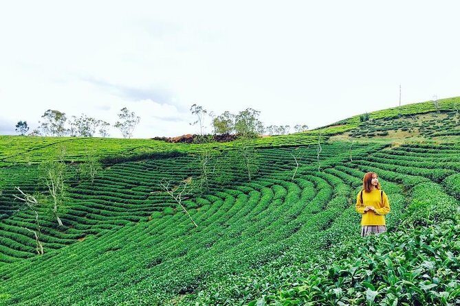 Private 3days 2 nights Da lat flower paradies from Saigon - Key Points