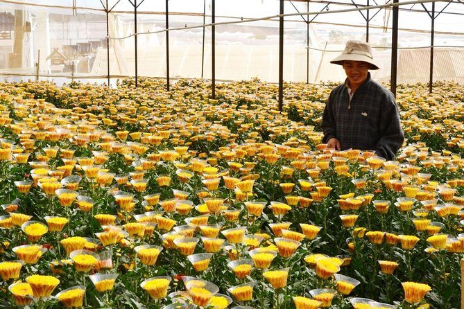 Private 3days 2 nights Da lat flower paradies from Saigon - What’s Included & What’s Not