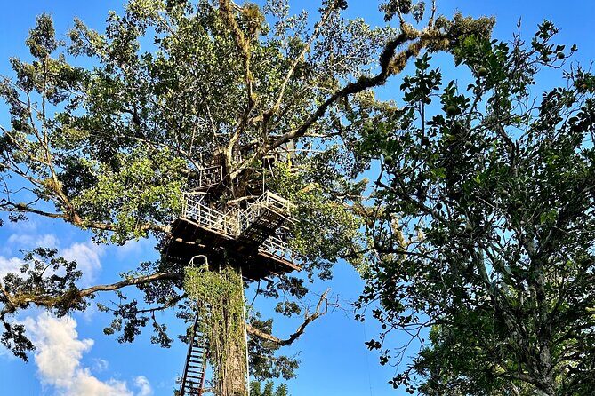 PRIVATE: 3in1 - Los Haitises N.P. + Y. Waterfall + Mount. Redonda - Frequently Asked Questions